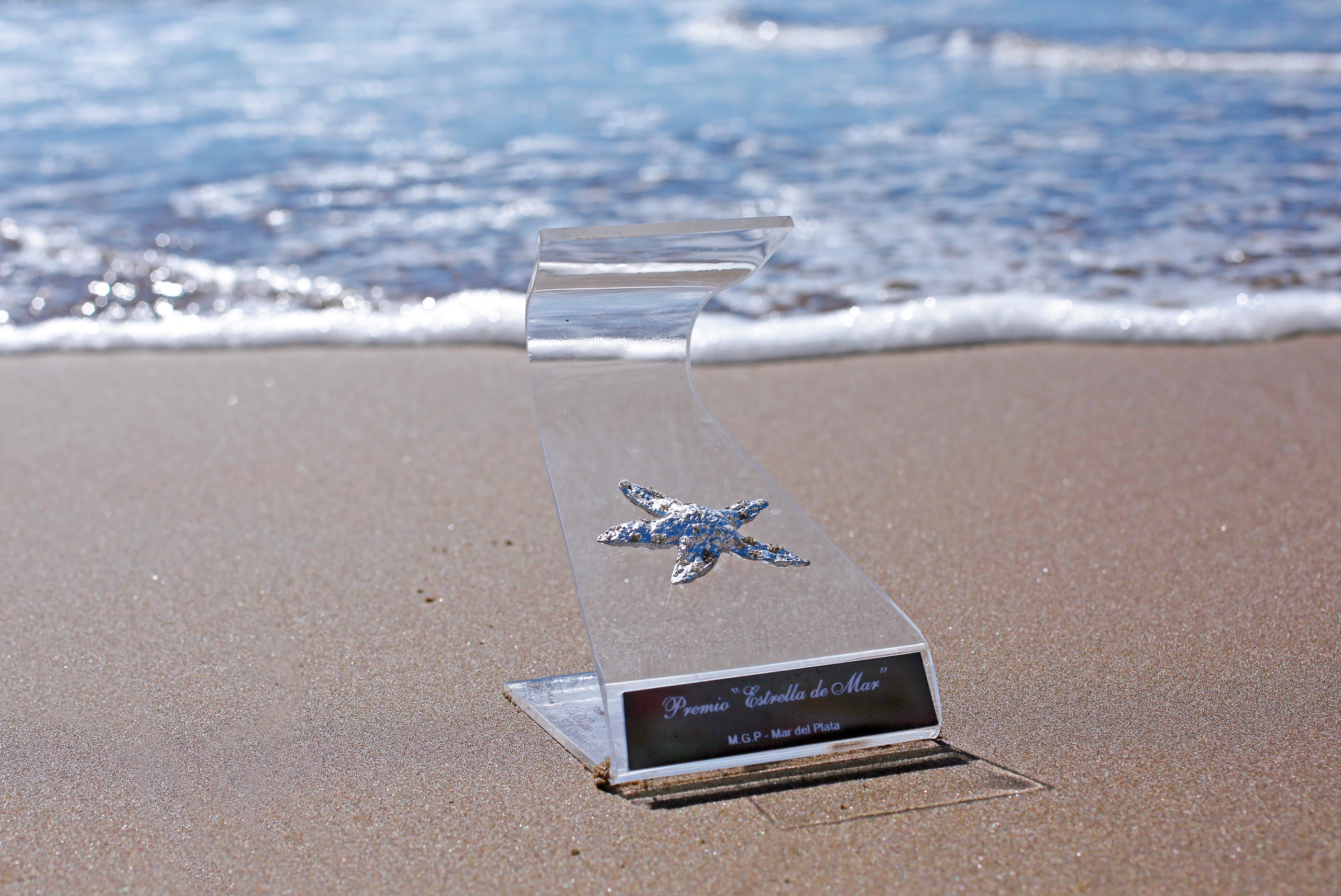 Premios Estrella de Mar 2024: listado completo de los nominados • 7600 ...