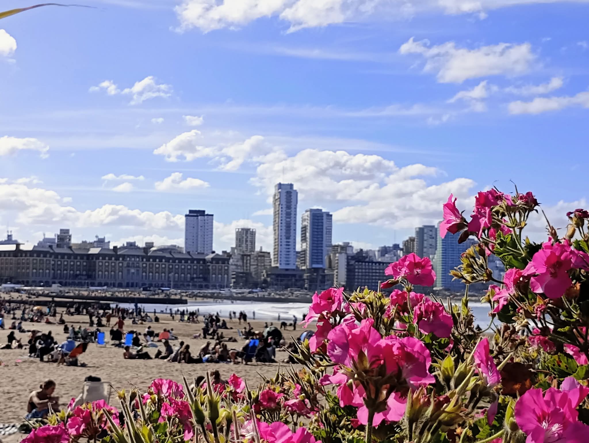 Lunes templado y algo nublado en Mar del Plata • 7600 online